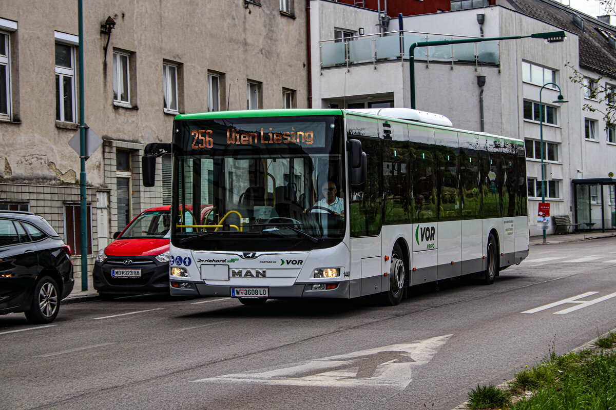 Früher: wiener Dr. Richard, jetzt: Salzburger Albus - Bus-bild.de